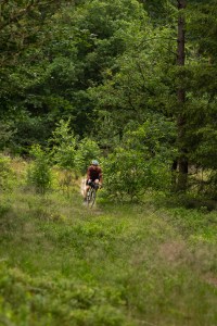 GREEN DIVIDE – Official Guide and FAQ – erwinsikkens.com