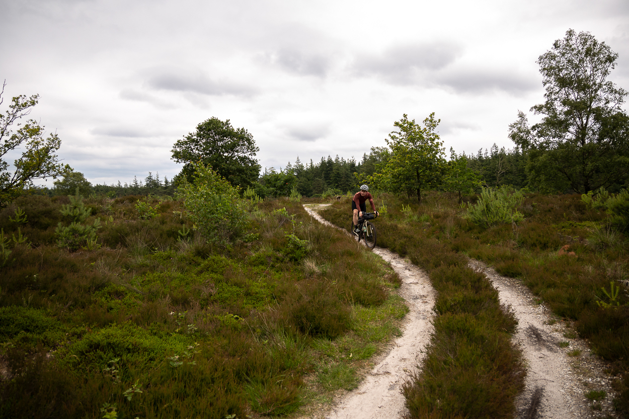 GREEN DIVIDE – Official Guide and FAQ – erwinsikkens.com