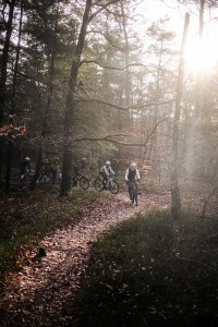 GREEN DIVIDE – Official Guide and FAQ – erwinsikkens.com